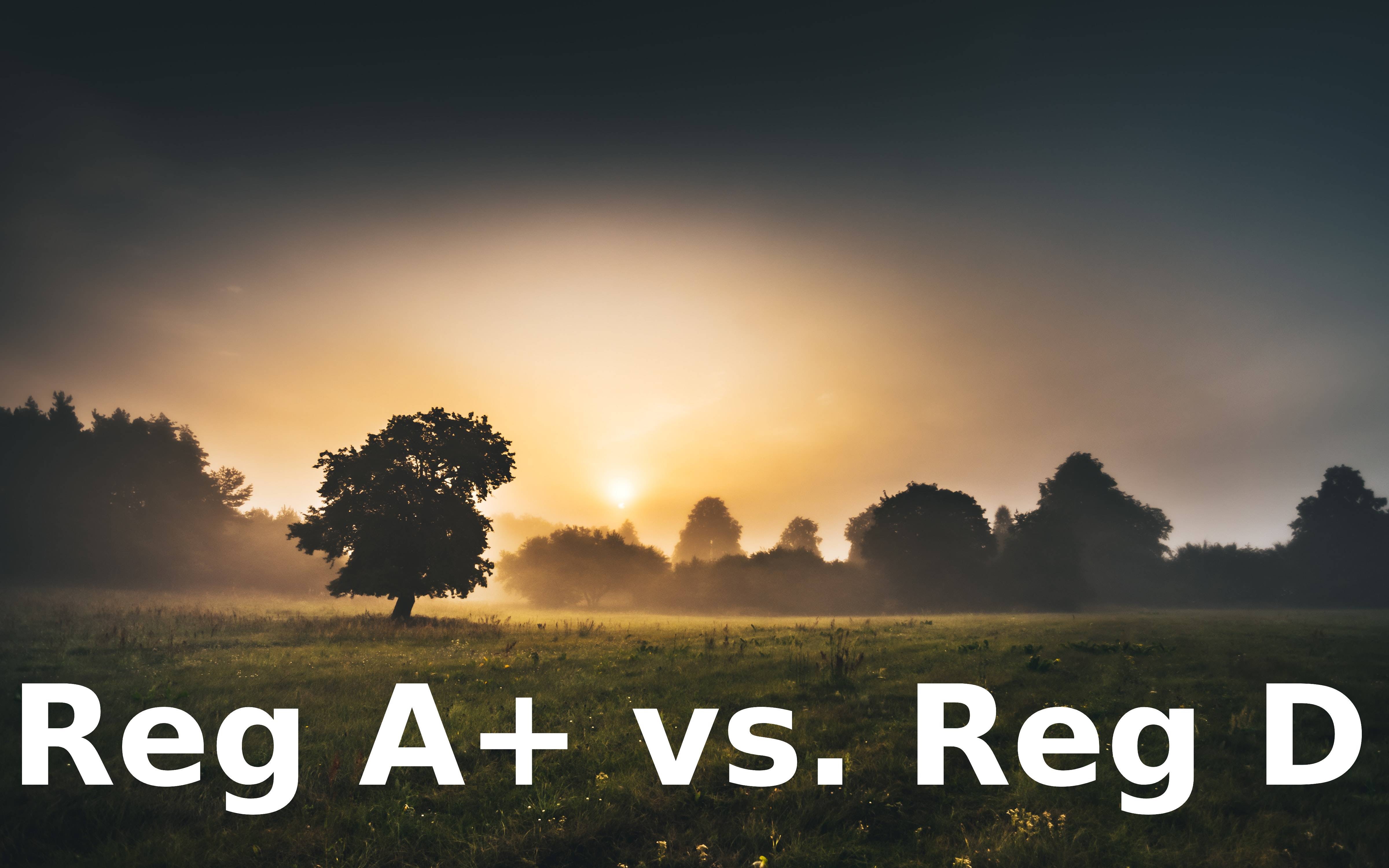 The Key Differences Between Reg D And Reg A+ When Raising Capital ...