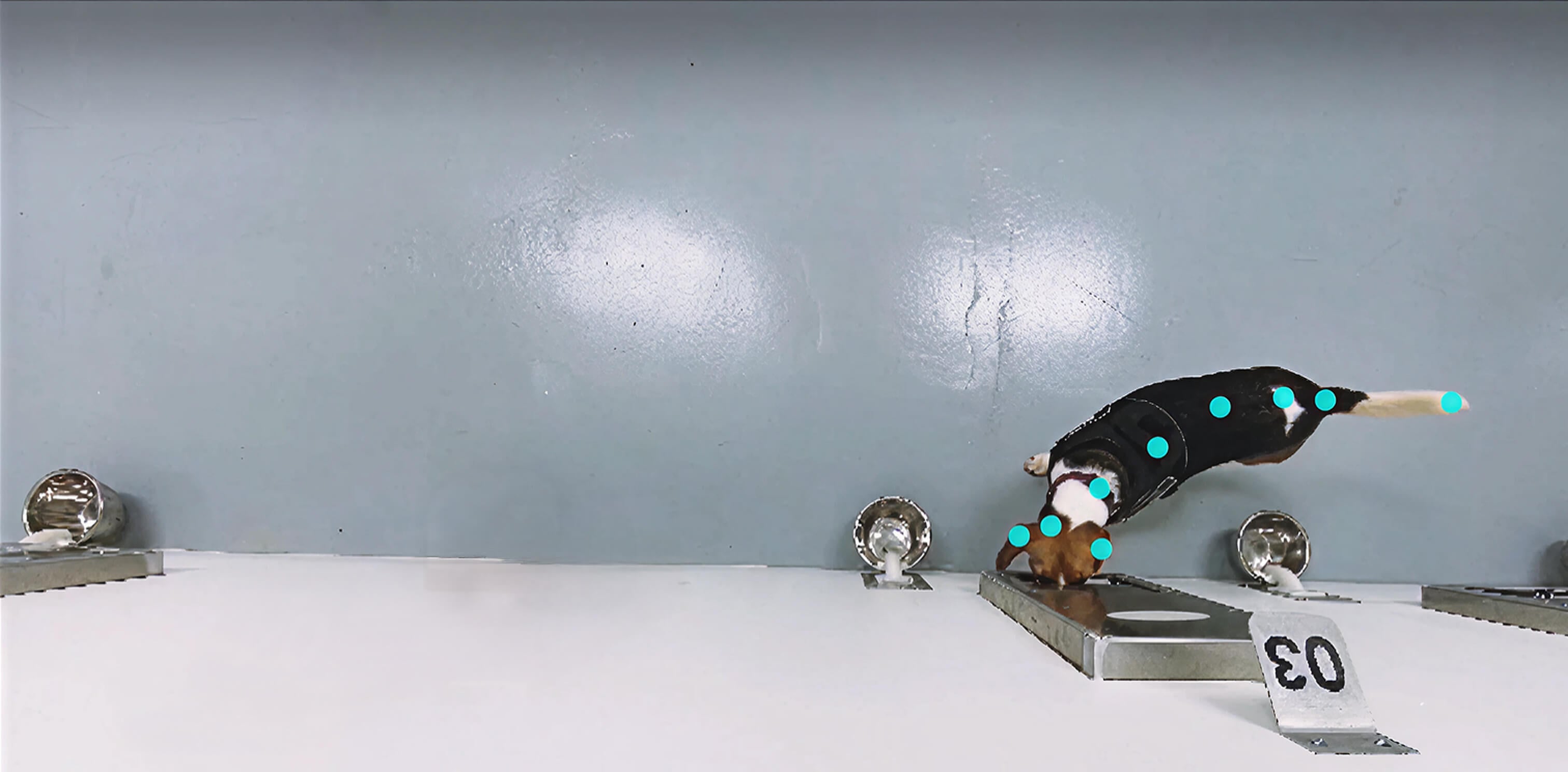 | Manhattan Street Capital