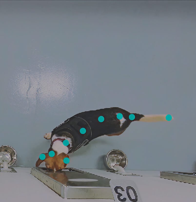 | Manhattan Street Capital